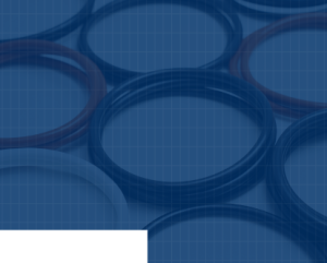 O型環介紹 - 中威密封元件